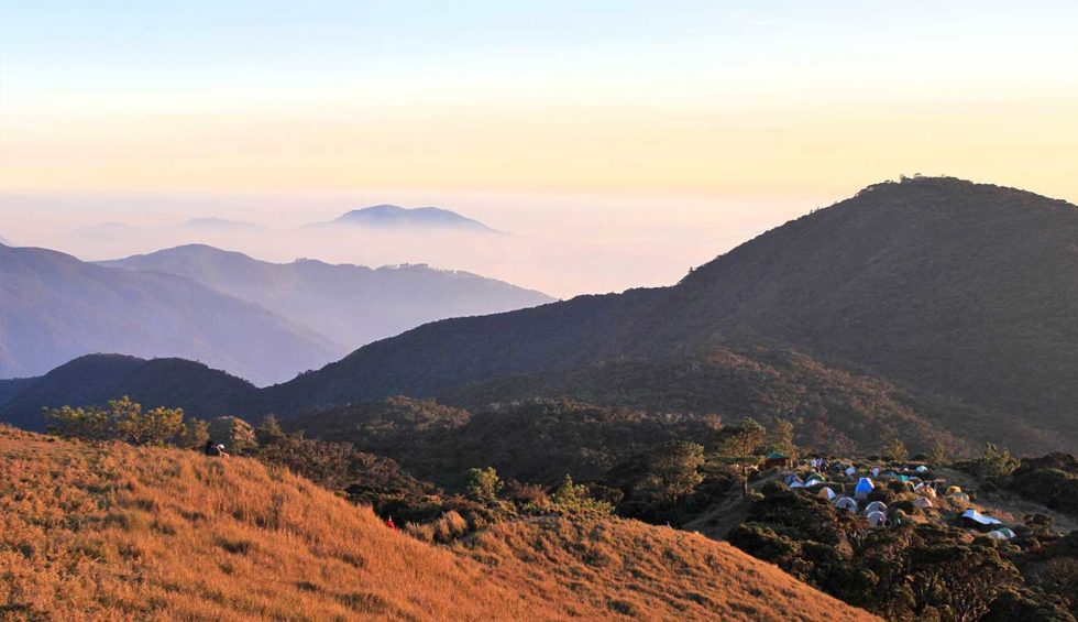 Mt Pulag Hike: What to Bring, Do, See, and Expect (Guide)