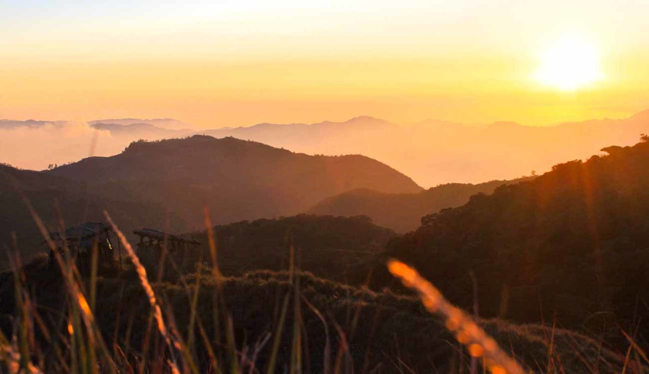 Mt Pulag Hike: What to Bring, Do, See, and Expect (Guide)