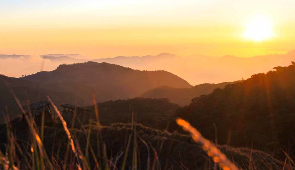 Mt Pulag Hike: What to Bring, Do, See, and Expect (Guide)