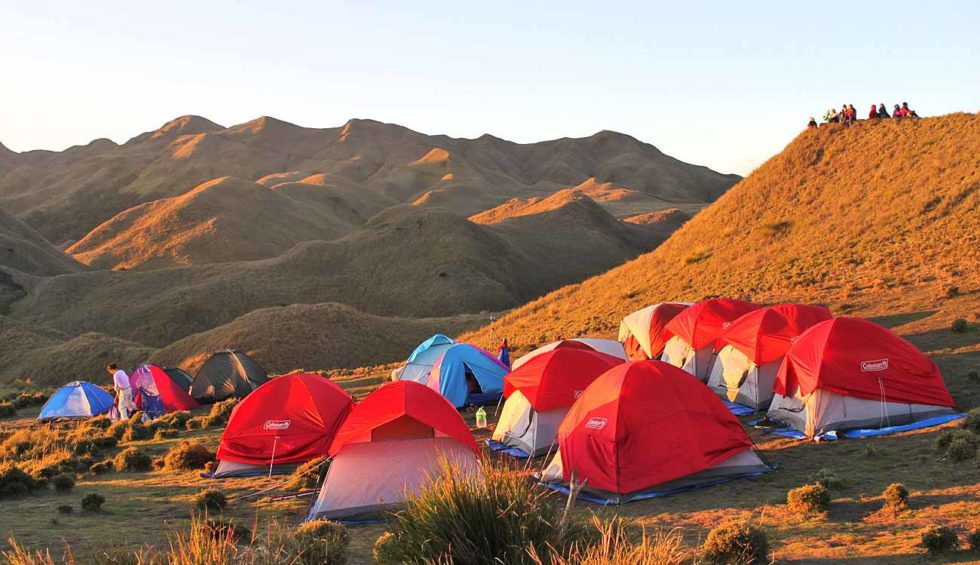 Mt Pulag Hike: What to Bring, Do, See, and Expect (Guide)
