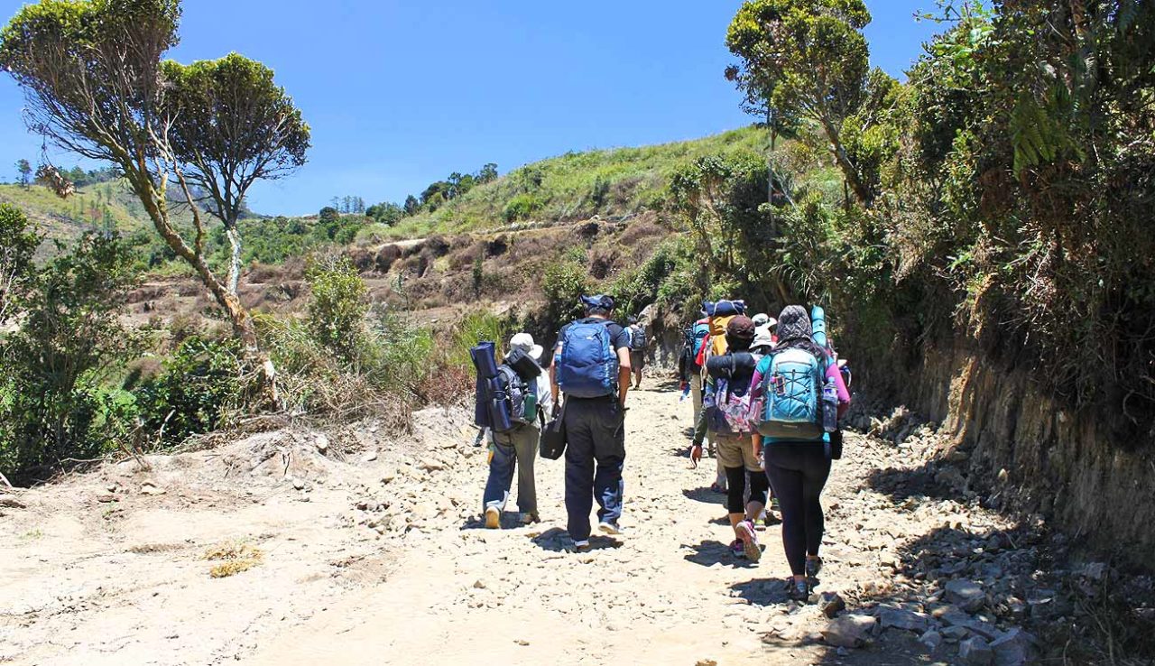 Mt Pulag Hike: What to Bring, Do, See, and Expect (Guide)