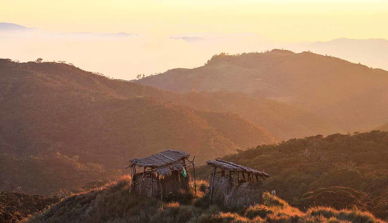 Mt Pulag Hike: What to Bring, Do, See, and Expect (Guide)