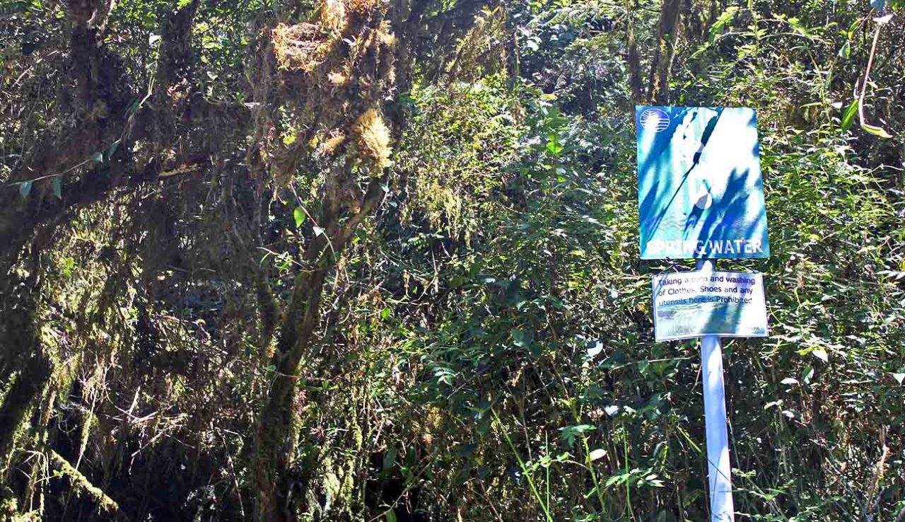 Mt Pulag Hike: What to Bring, Do, See, and Expect (Guide)