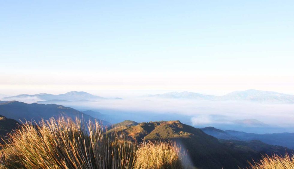 Mt Pulag Hike: What to Bring, Do, See, and Expect (Guide)