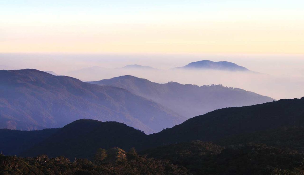 Mt Pulag Hike: What to Bring, Do, See, and Expect (Guide)