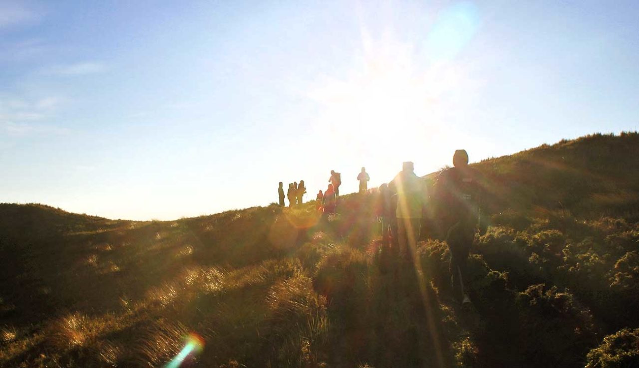 Mt Pulag Hike: What to Bring, Do, See, and Expect (Guide)