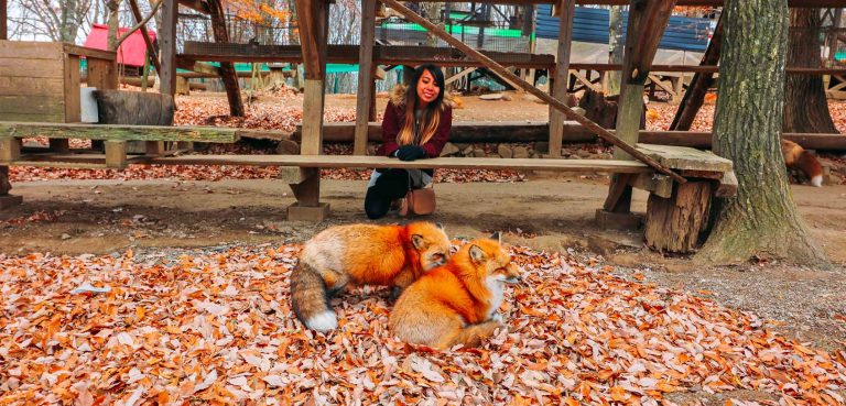 Fluffiest Place on Earth: Miyagi Zao Fox Village (Travel Guide)