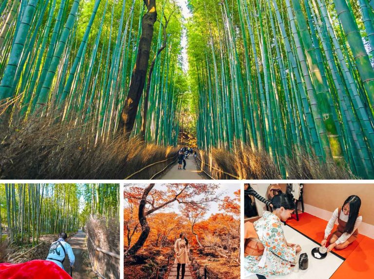 Top 15 Day Trips from Osaka (Kansai Region, Japan)