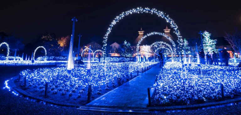 Nabana no Sato Winter Illumination & Flower Park (Guide)