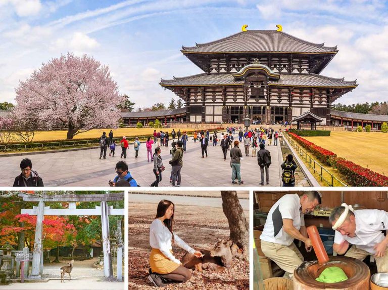 Top 15 Day Trips from Osaka (Kansai Region, Japan)