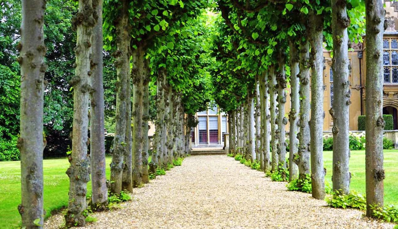 Belgium Facts: 25 Interesting Things That You Didn't Know