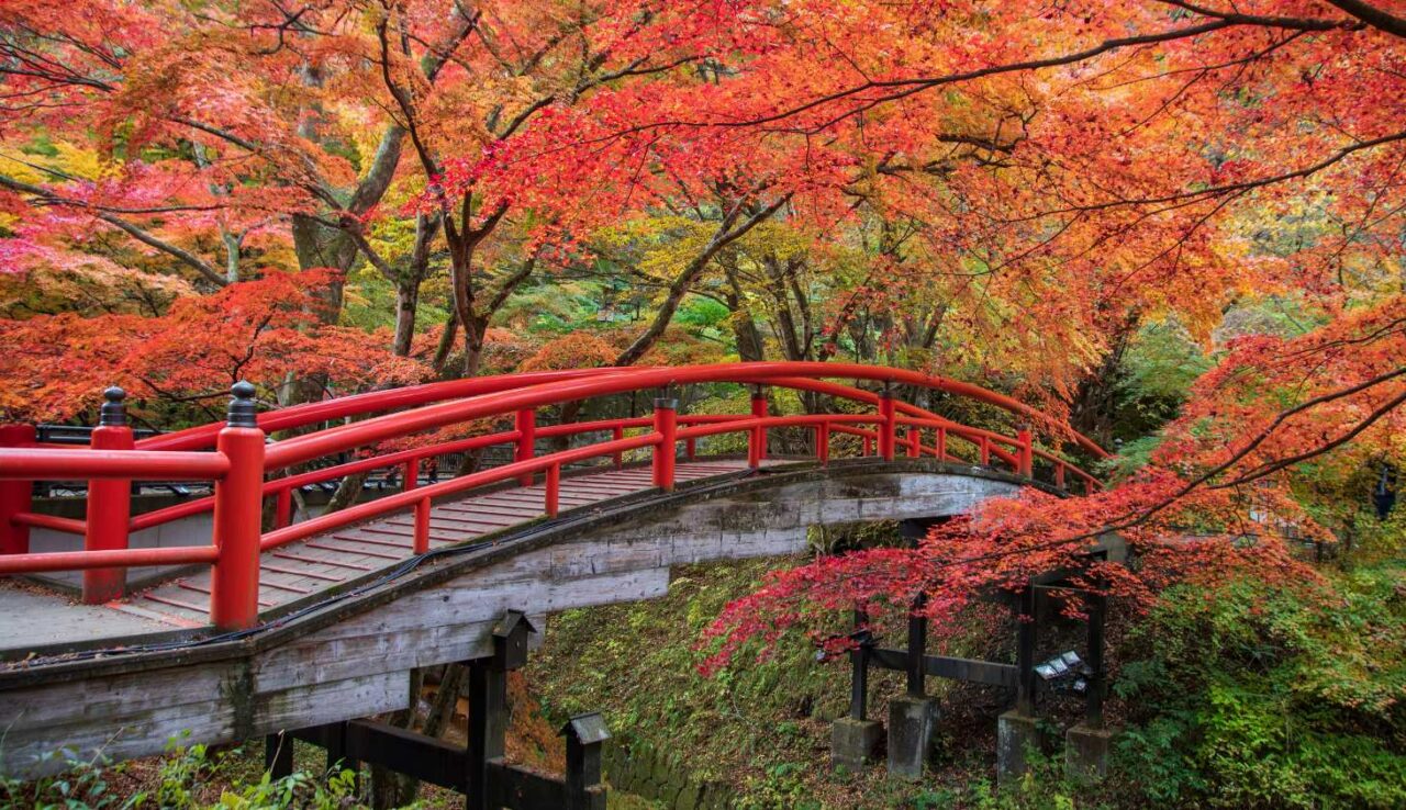 20 Best Spots for Autumn in Japan (Fall Foliage Viewing)