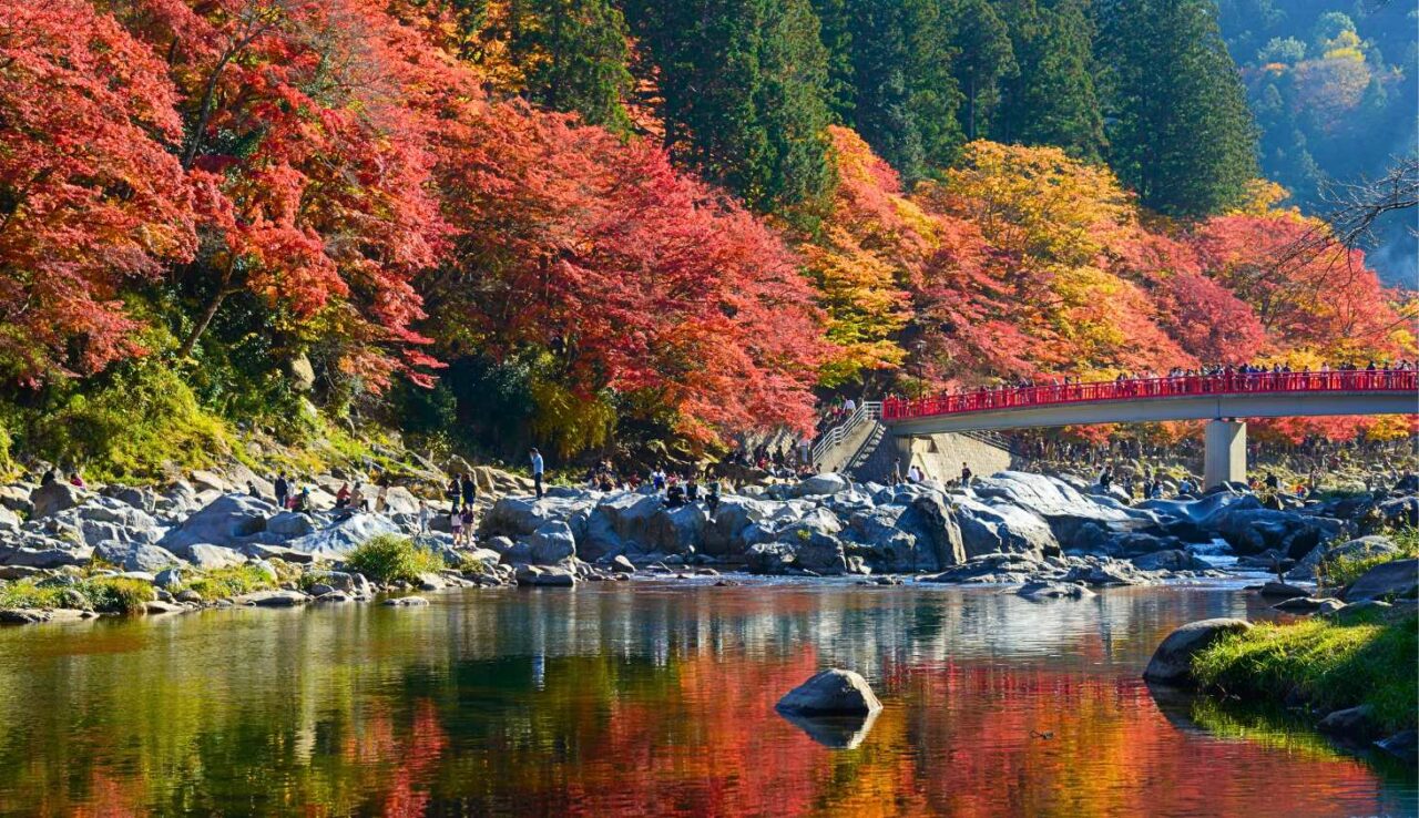 20 Best Spots for Autumn in Japan (Fall Foliage Viewing)