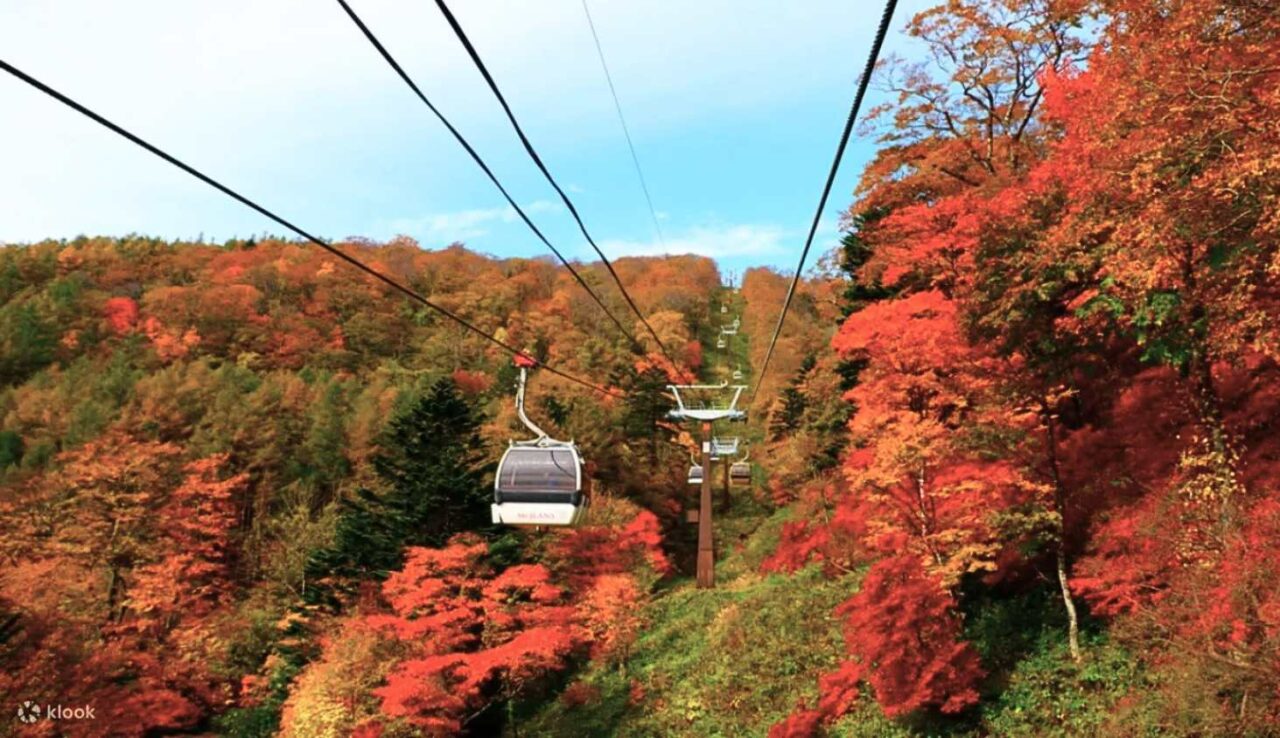20 Best Spots for Autumn in Japan (Fall Foliage Viewing)